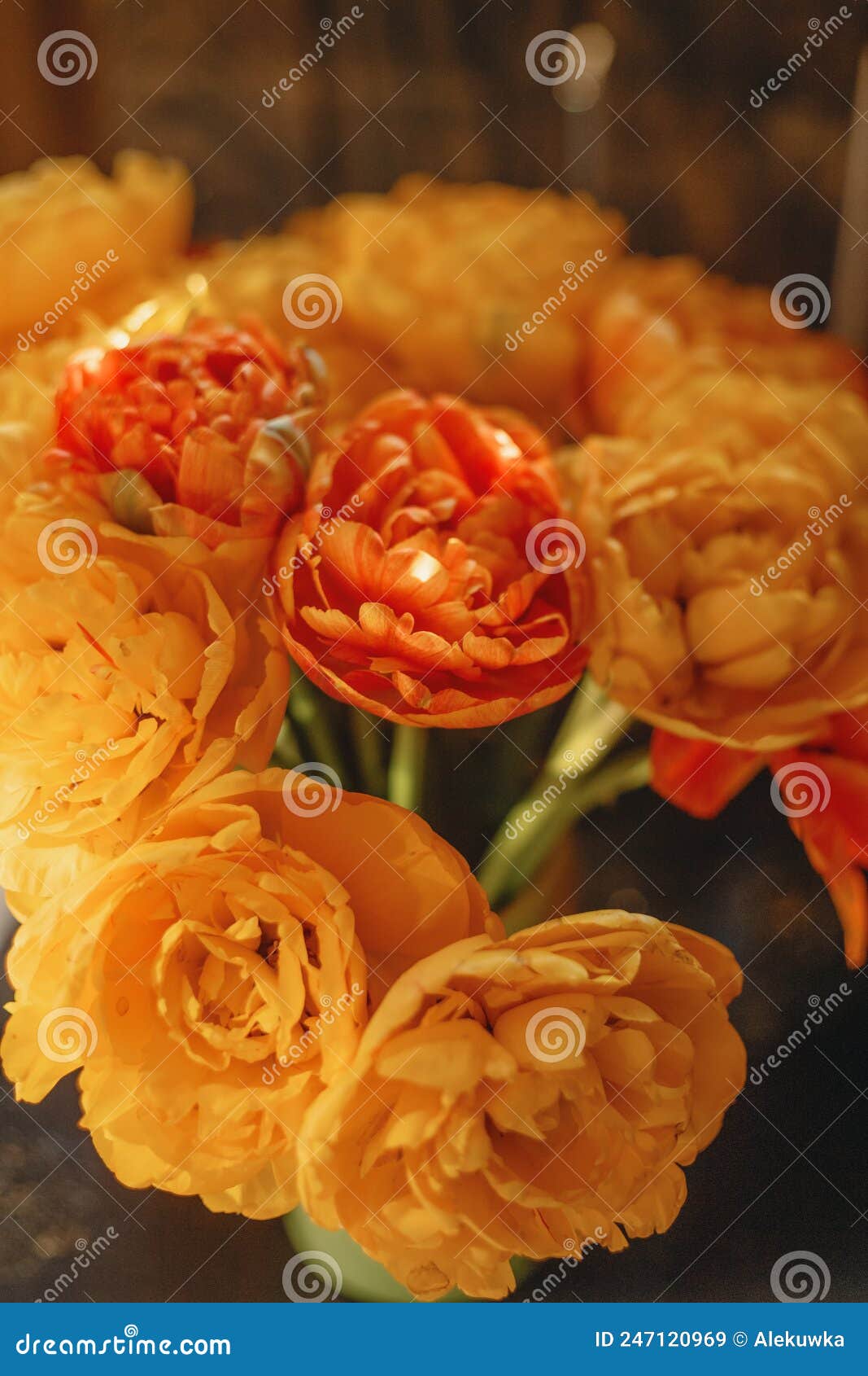 Spring Flowers Bright Orange in Warm Colors High Expansion Stock Image ...