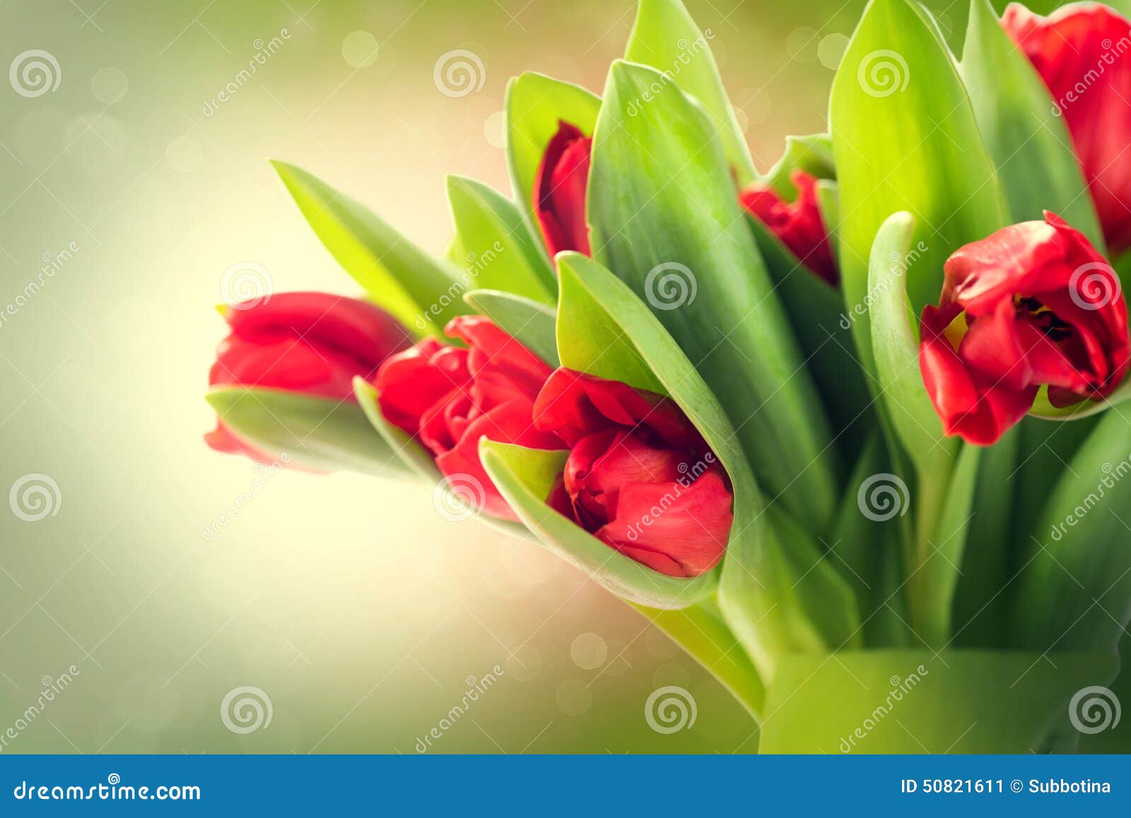 Spring flowers bunch stock image. Image of buds, bouquet - 50821611