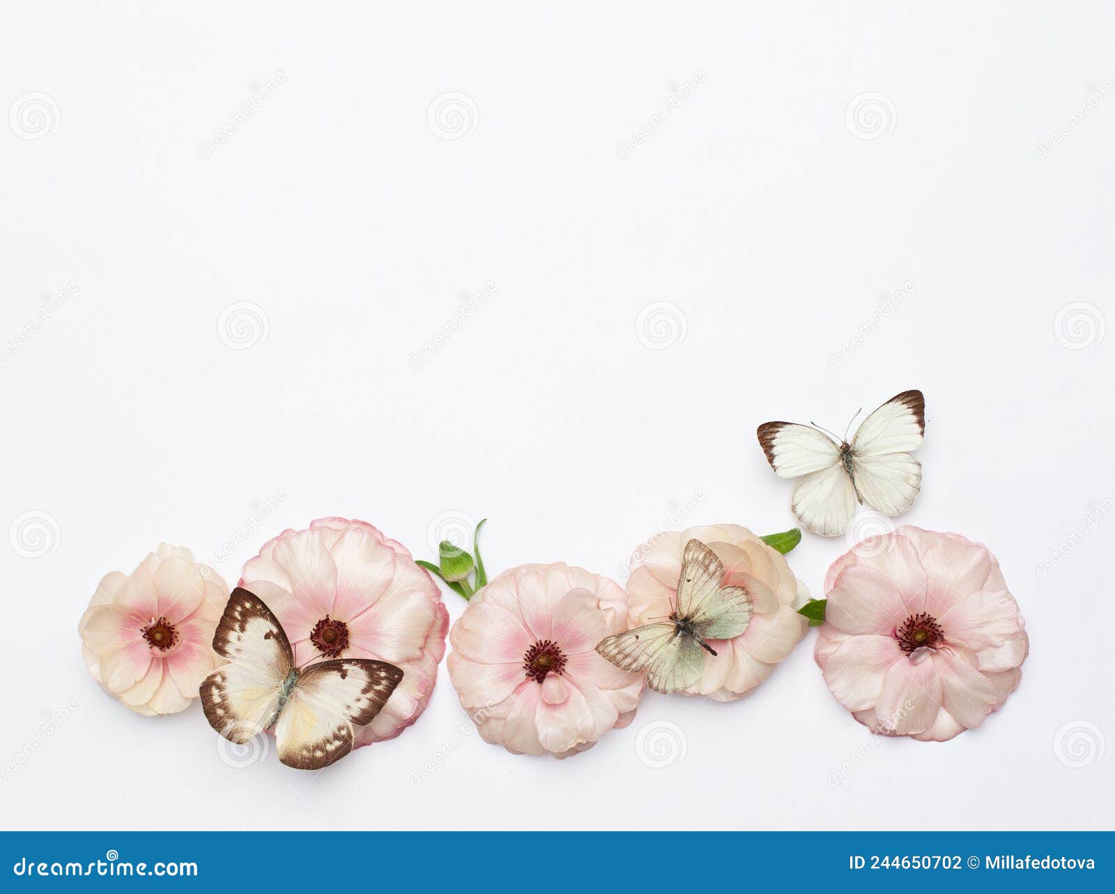 Spring Flowers and Butterflies Border on White Background Stock Photo ...