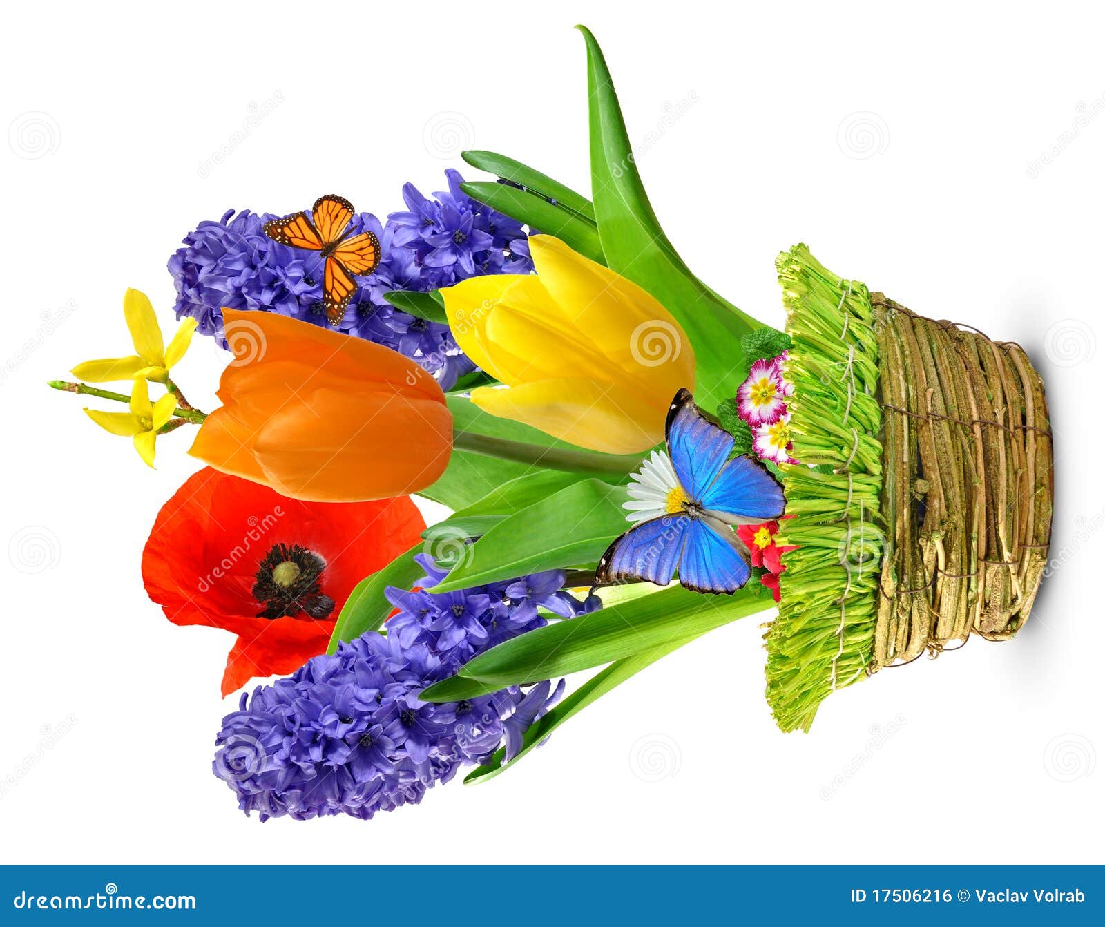 Spring Flowers with Butterfly Stock Photo - Image of greeting, garden ...