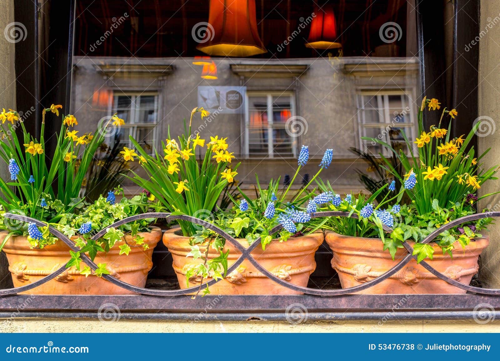 Spring Flowers in the Cafe Window Stock Photo - Image of daffodils ...