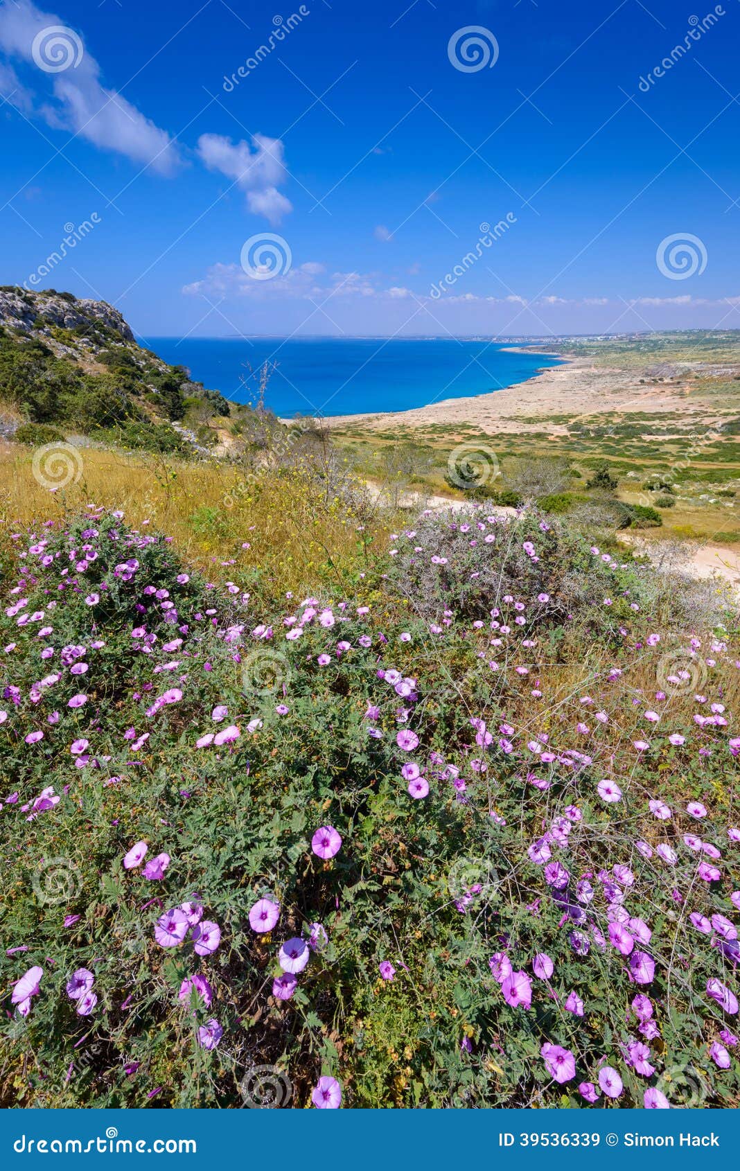 Spring Flowers at Cape Greco,cyprus Stock Image - Image of field ...
