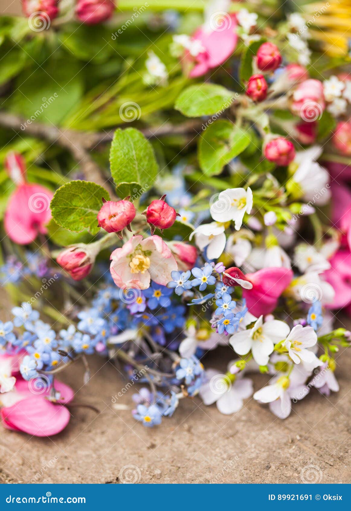Spring flowers close up stock image. Image of nature - 89921691
