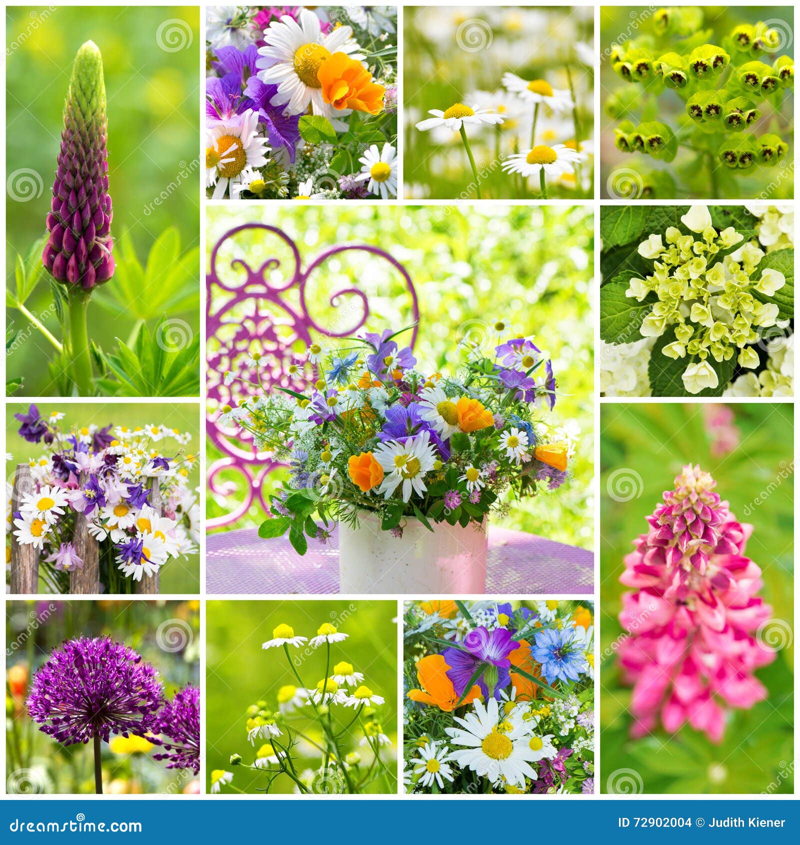 Spring flowers collage stock photo. Image of flowers - 72902004