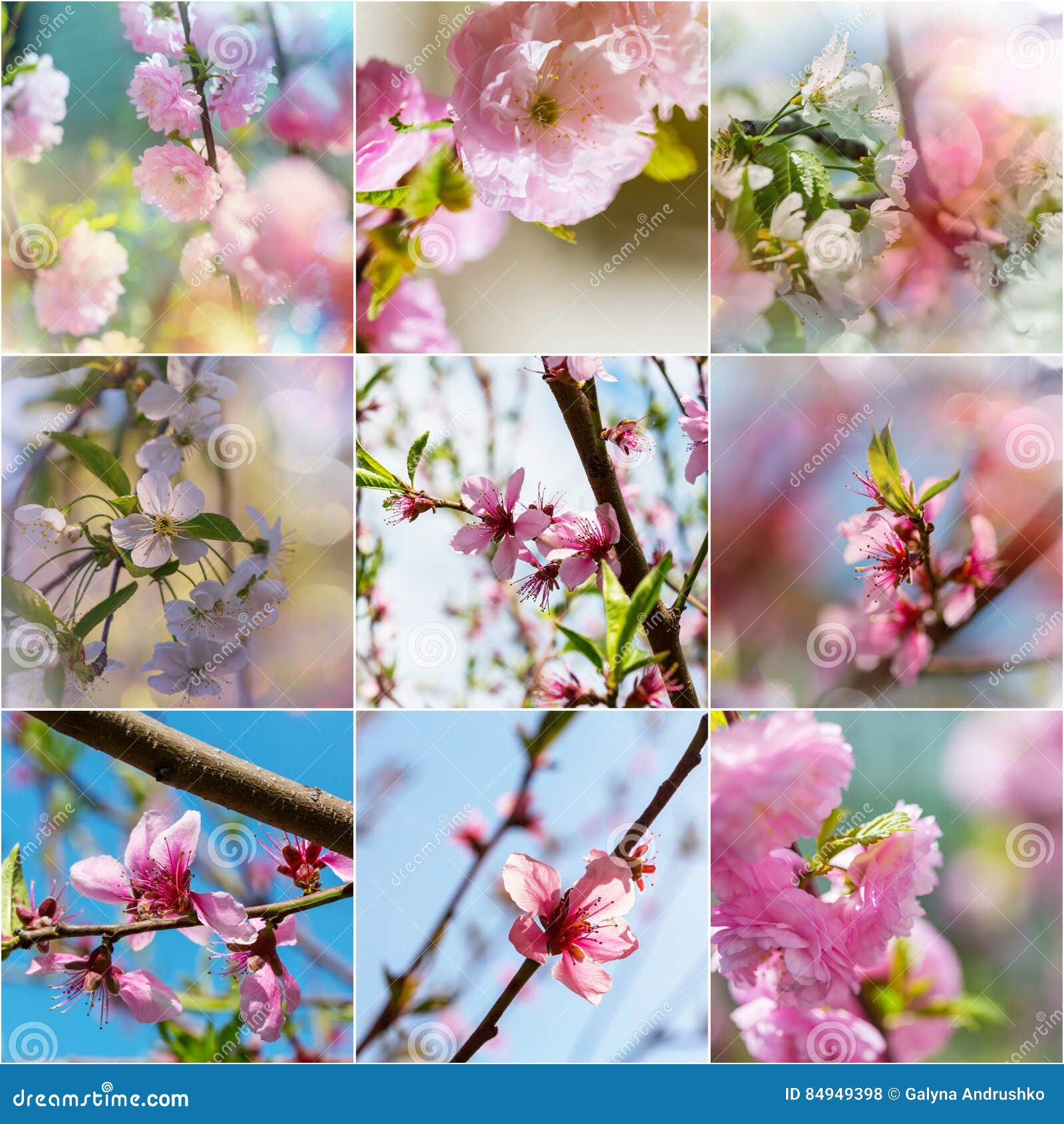 Spring flowers collage stock photo. Image of easter, flores - 84949398