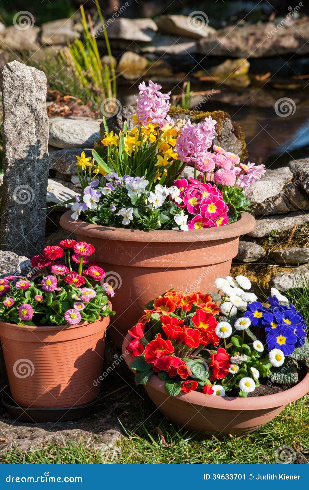 Spring flowers stock image. Image of plant, flowers, gardening - 39633701