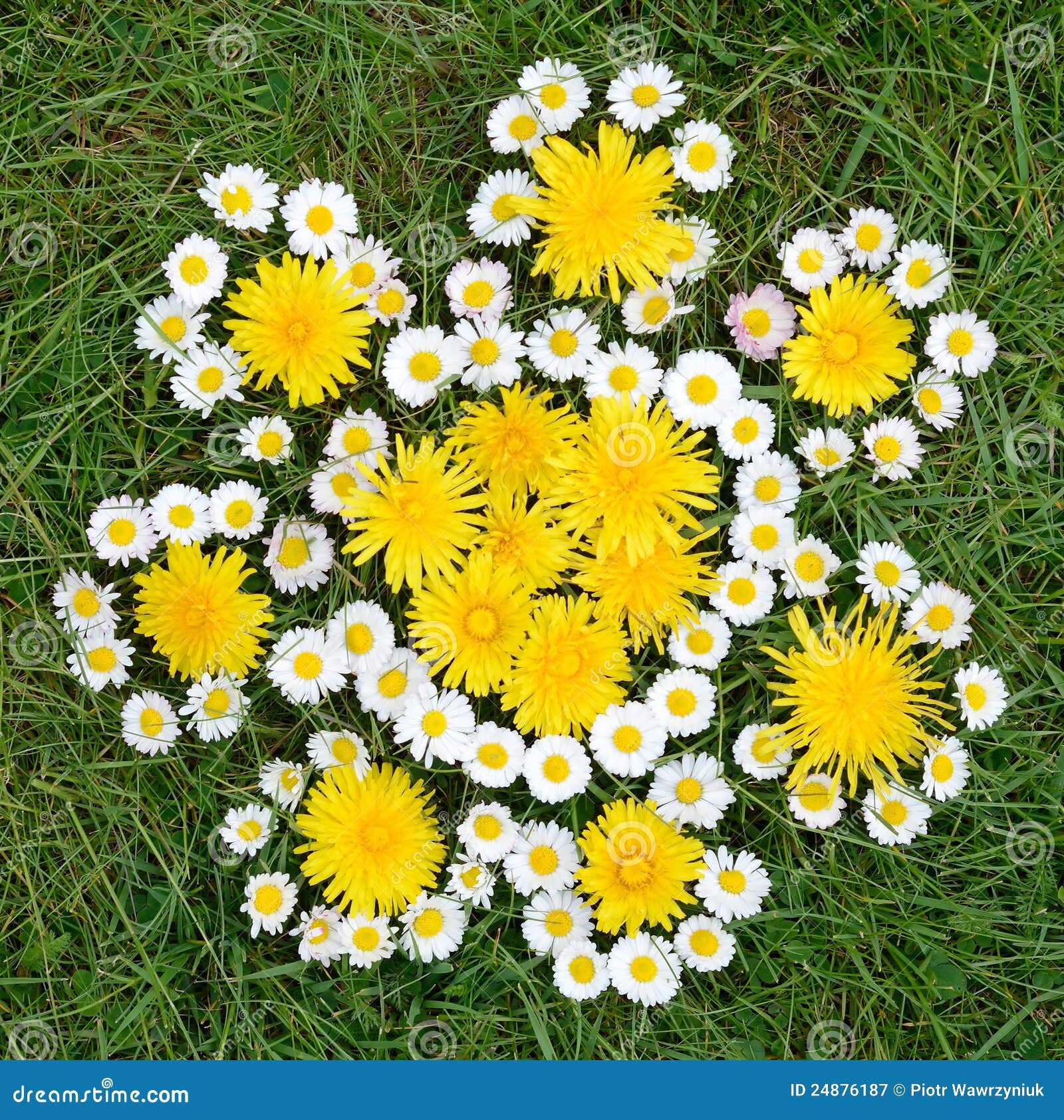 Spring flowers composition stock image. Image of lovely - 24876187