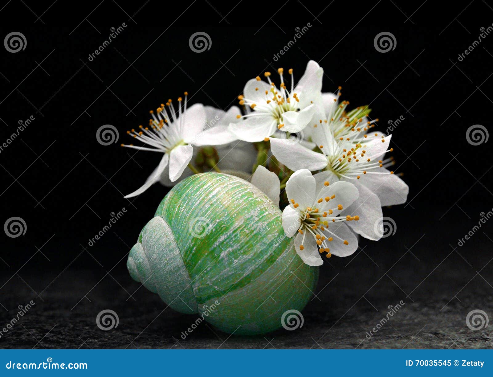 Spring flowers composition stock image. Image of closeup - 70035545