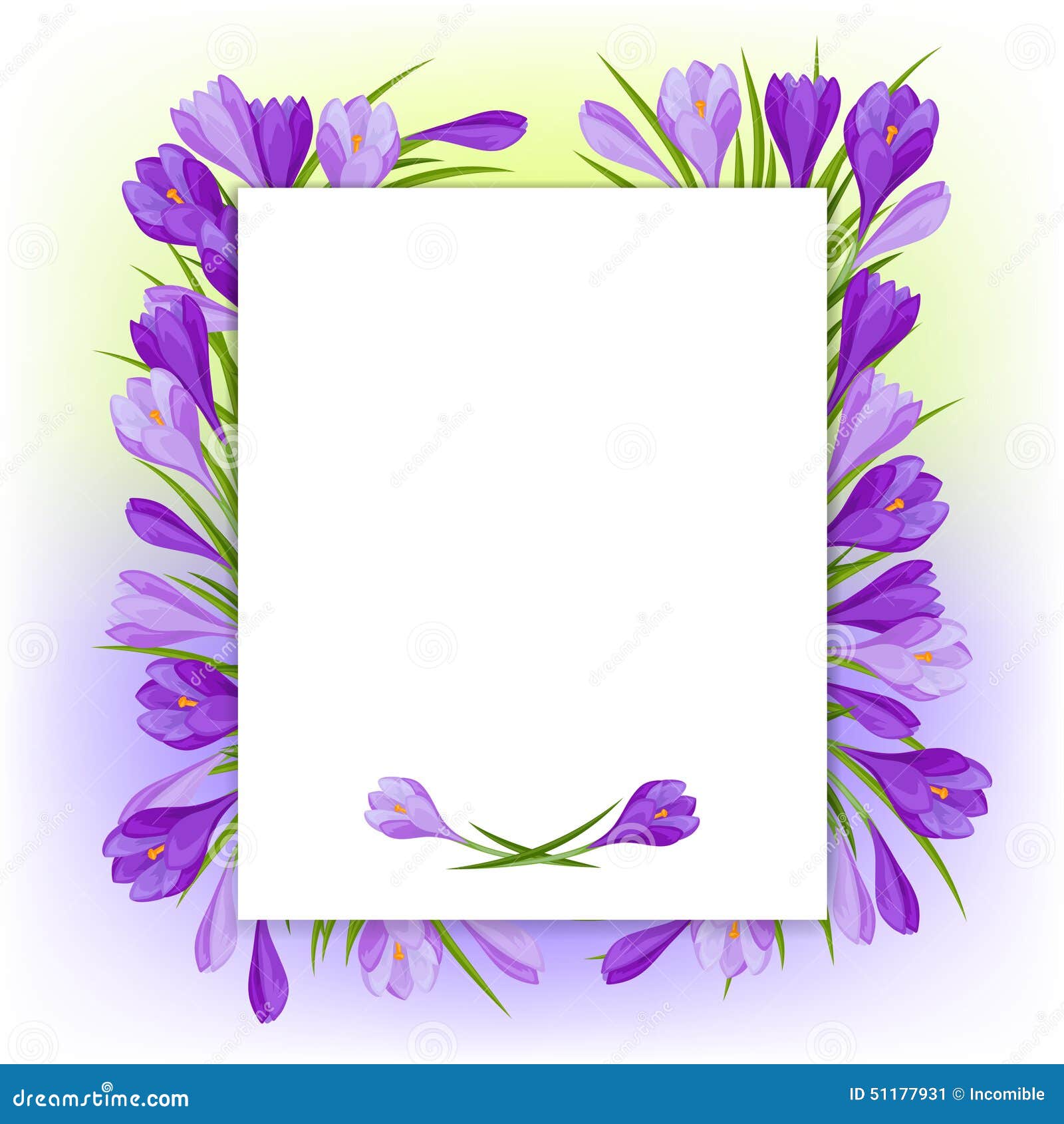 Spring Flowers Crocus Natural Background Stock Vector - Illustration of ...