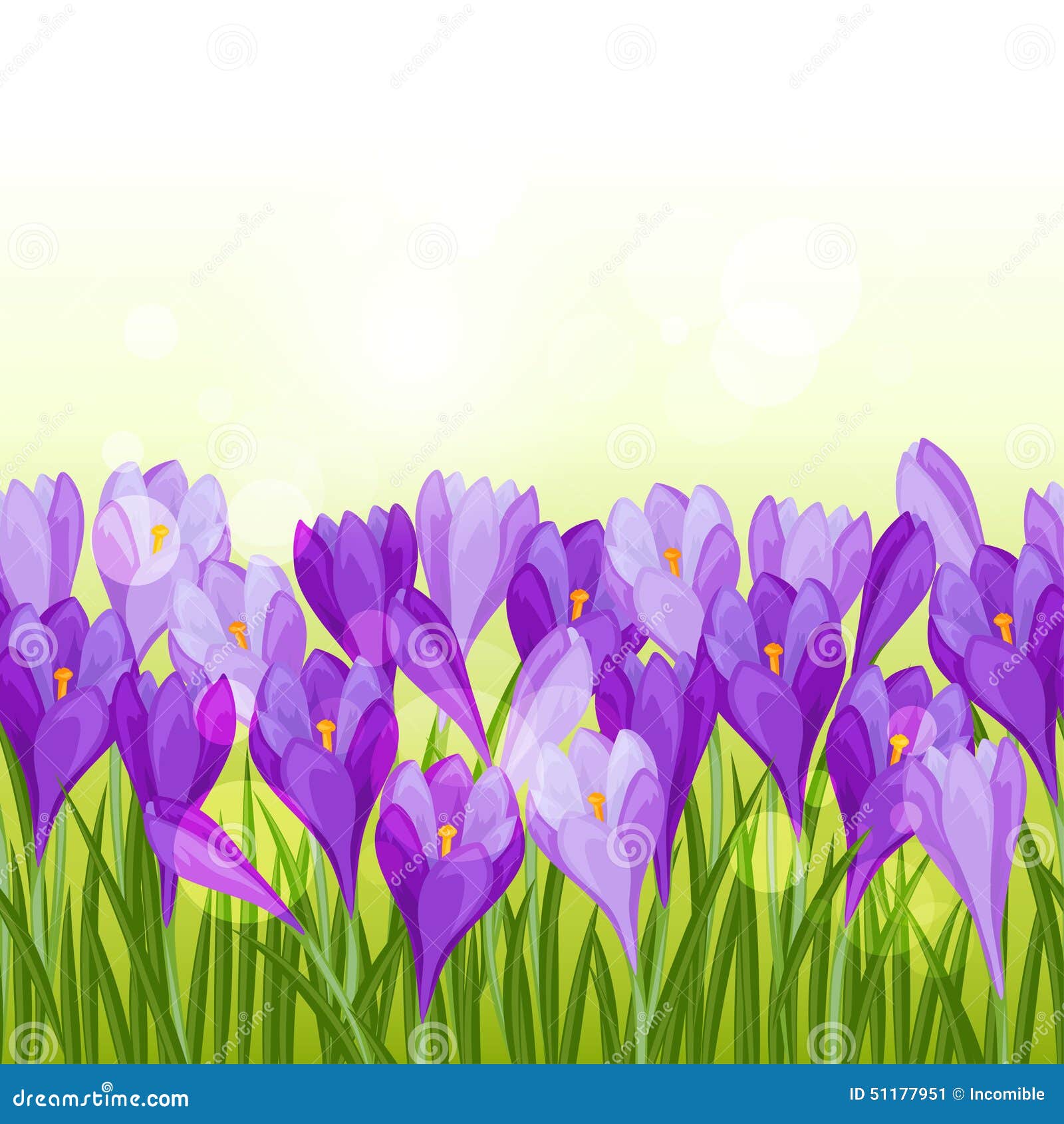 Spring Flowers Crocus Seamless Pattern Horizontal Stock Vector ...