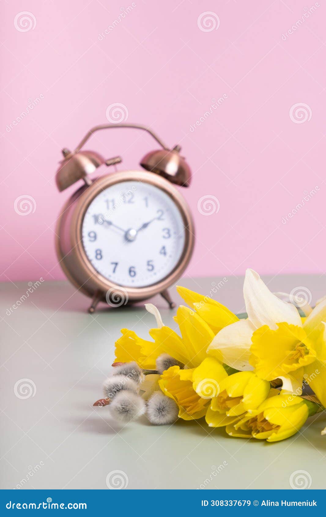 Spring Flowers Daffodils and Willow with Defocused Alarm Clock. Spring ...