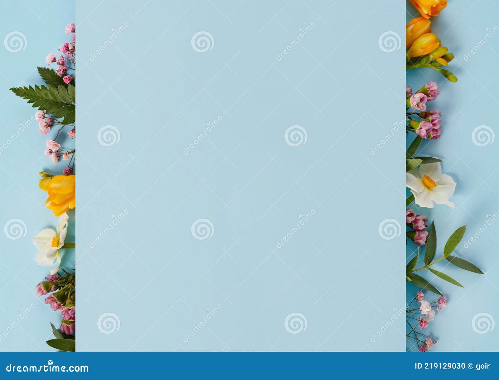 Spring Flowers Edge Composition Stock Photo - Image of color, romance ...