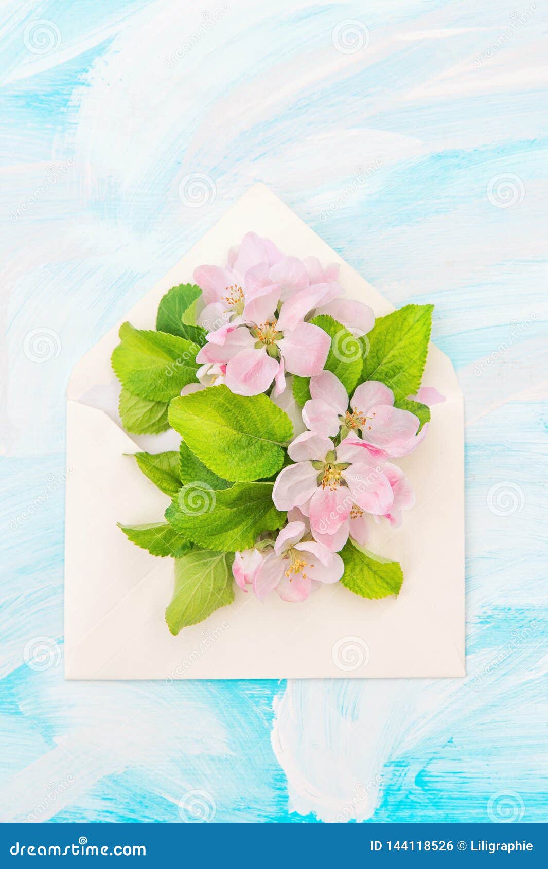 Spring Flowers Envelope Floral Flat Lay Apple Tree Blossom Stock Photo ...
