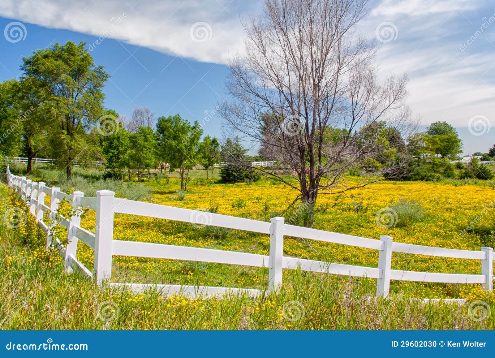 Spring Flowers in Fence Lined Pasture in Midwest Prairie Stock Photo ...