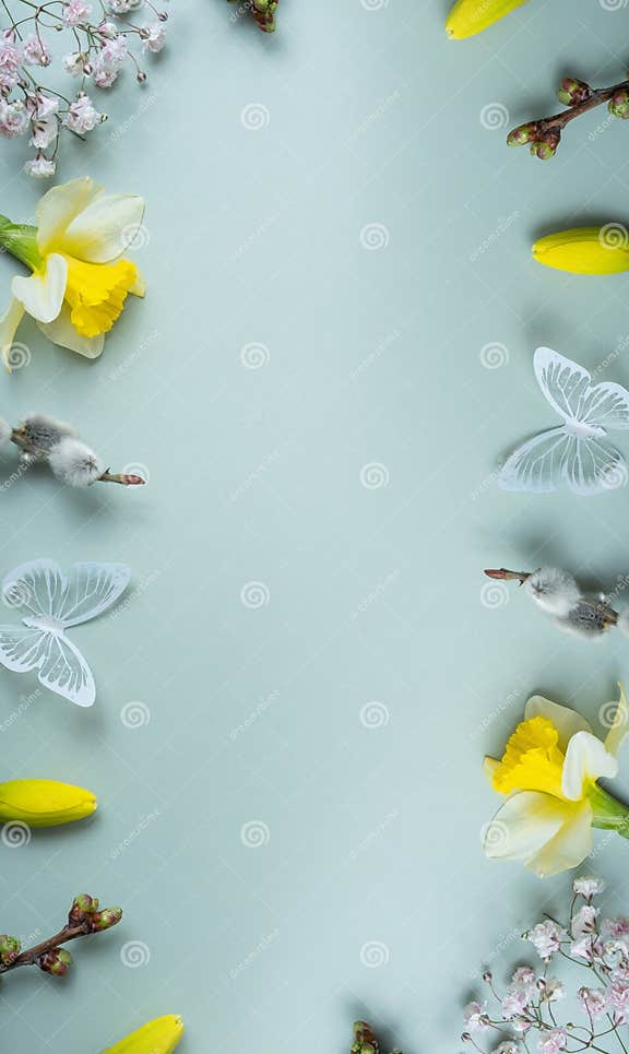 Spring Flowers Flat Lay Frame Composition on Colored Background with ...
