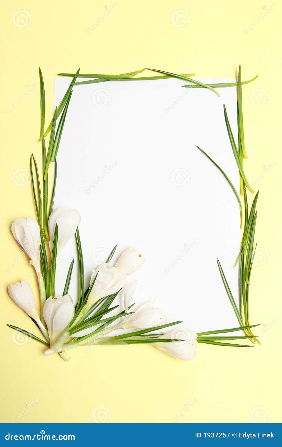 Spring flowers frame stock image. Image of natural, paper - 1937257