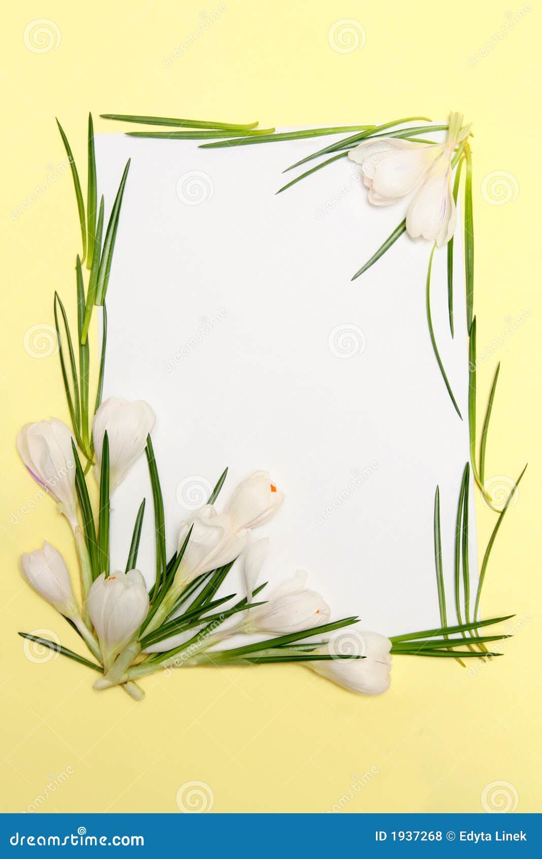 Spring flowers frame stock photo. Image of border, framed - 1937268