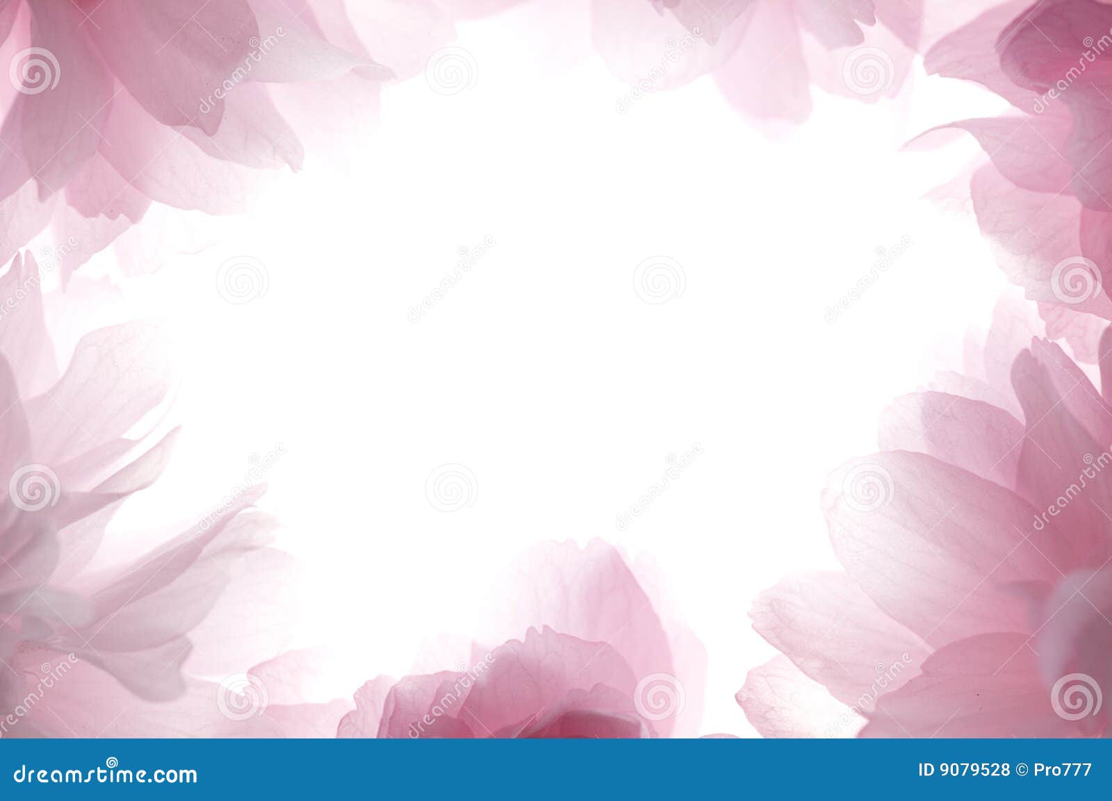 Spring flowers frame stock photo. Image of beautiful, closeup - 9079528