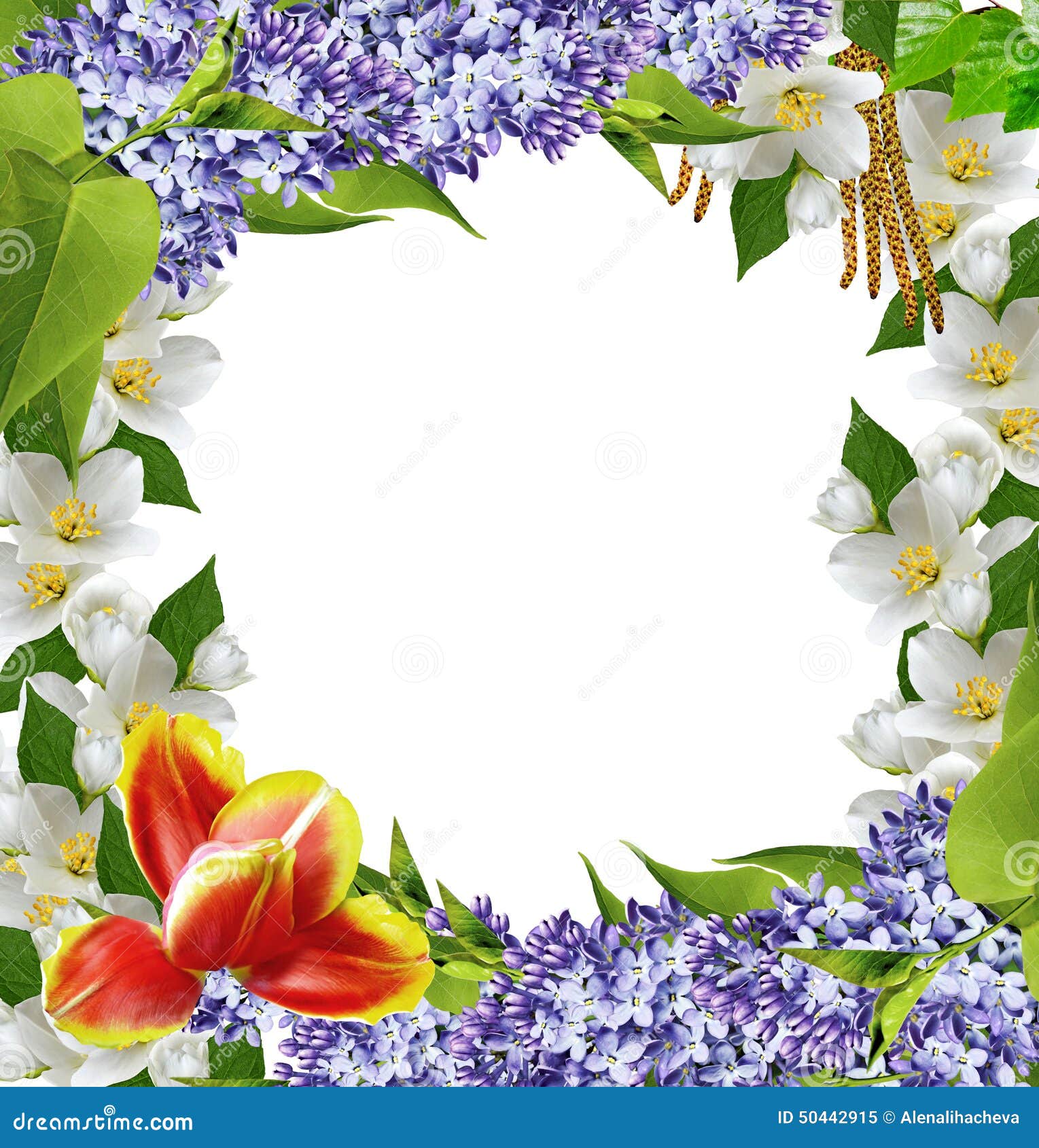 Spring flowers. frame stock image. Image of blossom, frame - 50442915