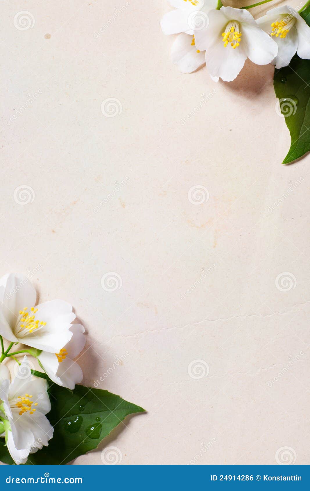 Spring Flowers Frame on Old Paper Background Stock Photo - Image of ...