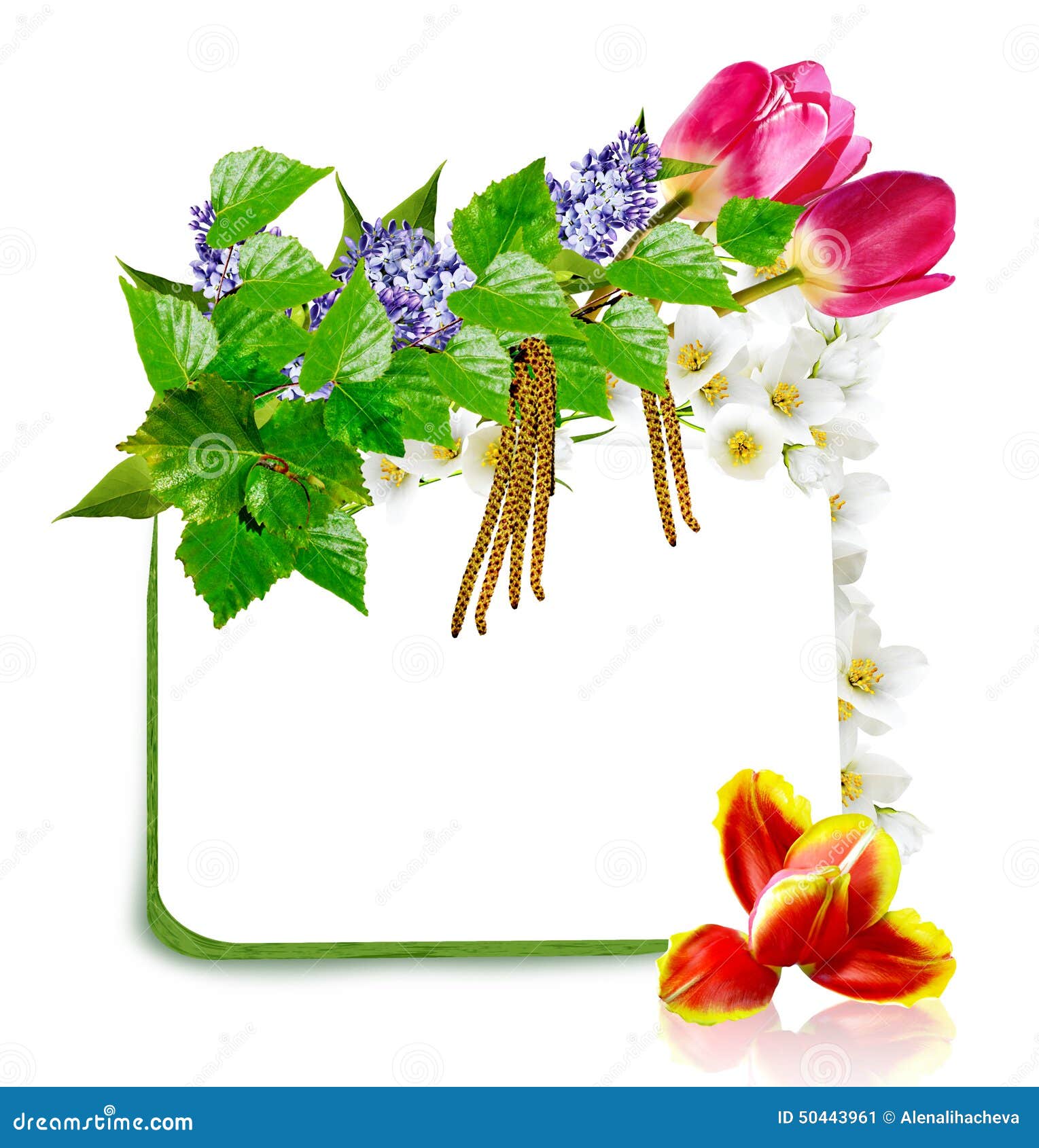 Spring flowers. frame stock image. Image of flowers, flora - 50443961