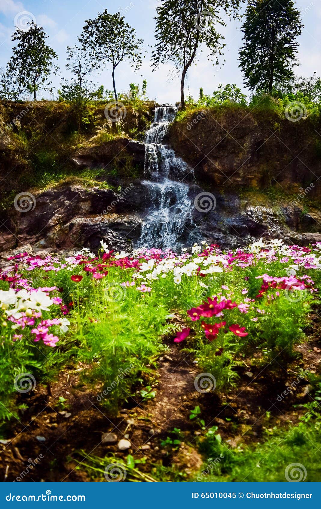 Spring flowers in a garden stock image. Image of color - 65010045