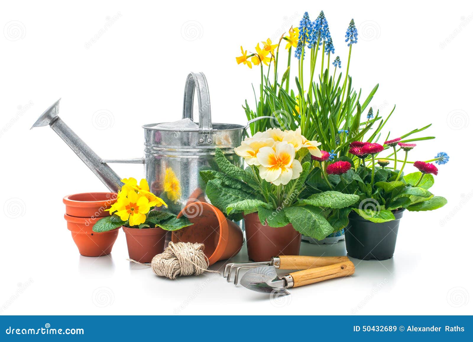 Spring Flowers with Gardening Tools Stock Image - Image of gardener ...