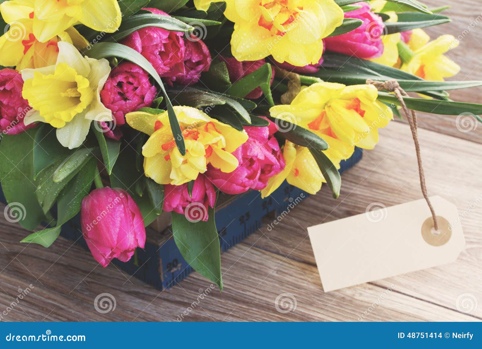 Spring Flowers with Gift Box Stock Photo - Image of daffodils, bloom ...