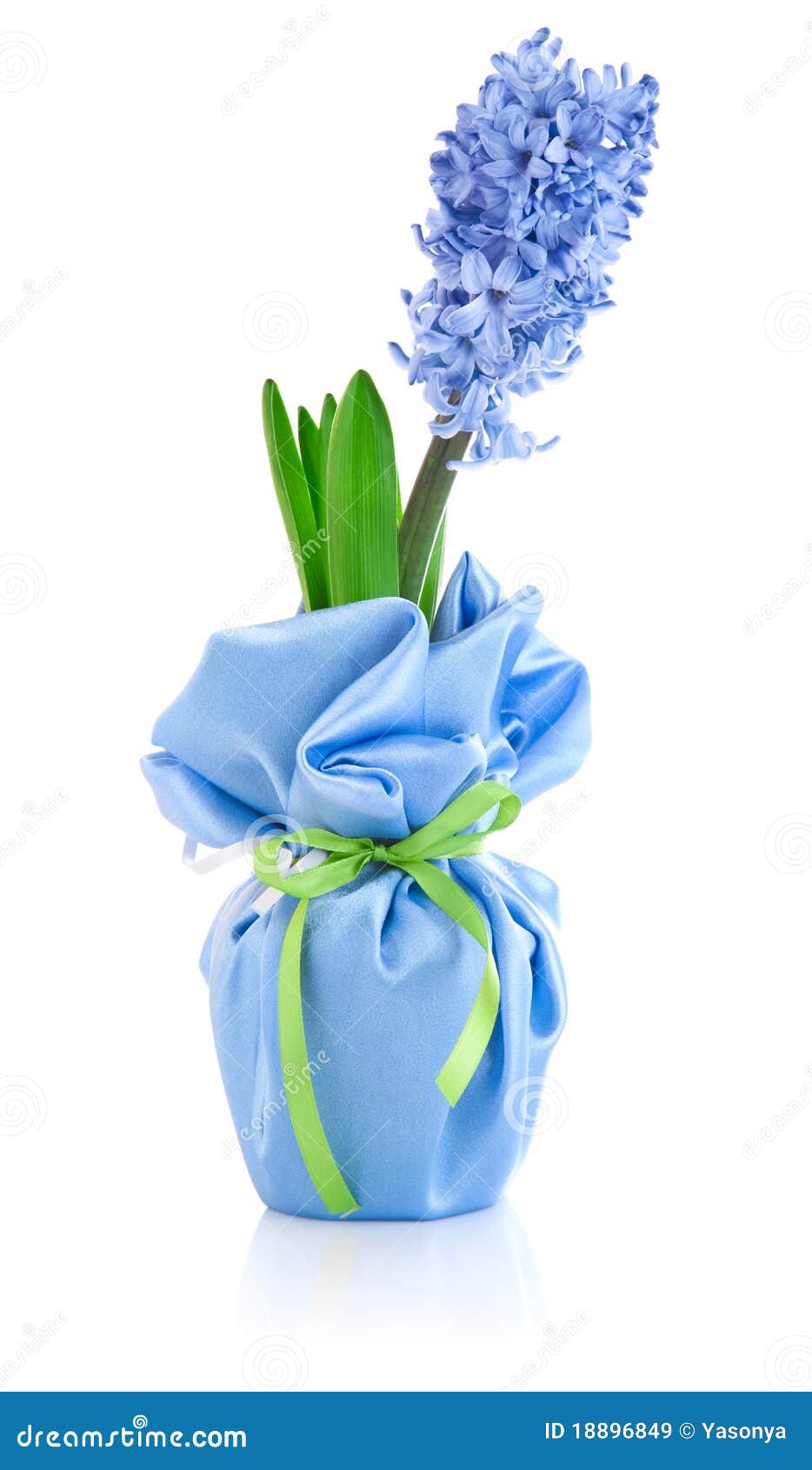 Spring Flowers in Glass Vase Stock Image - Image of plant, holiday ...