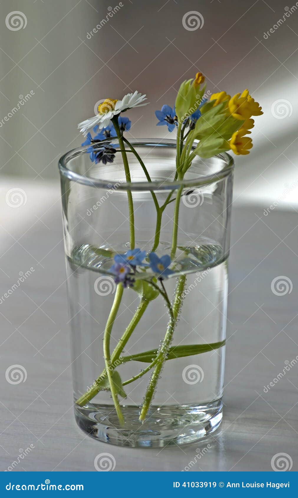Spring flowers stock image. Image of decoration, drinking - 41033919