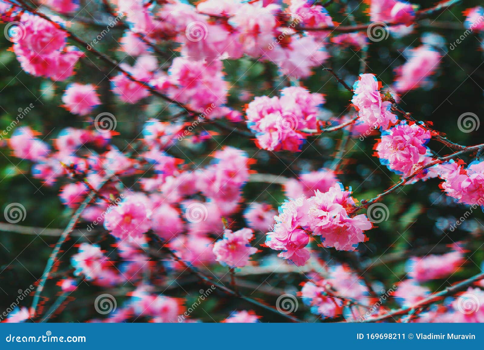 Spring Flowers in a Glitch Effect Stock Image - Image of glitch ...