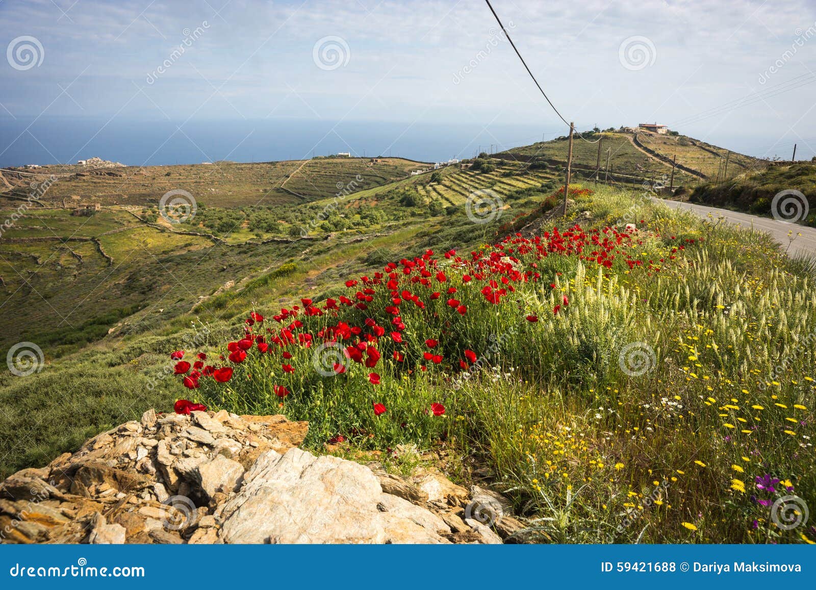 Spring Flowers in Greece, Kea Stock Photo - Image of countryside, color ...