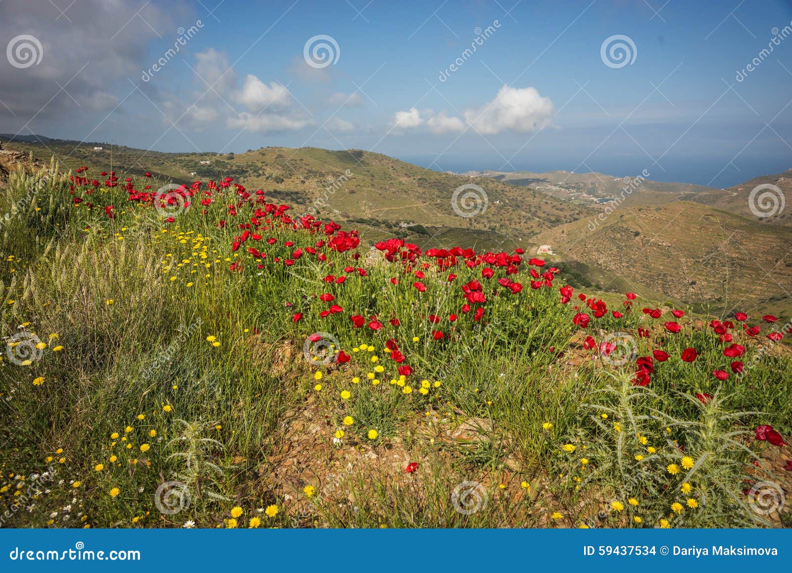 Spring Flowers in Greece, Kea Stock Photo - Image of holiday, europe ...