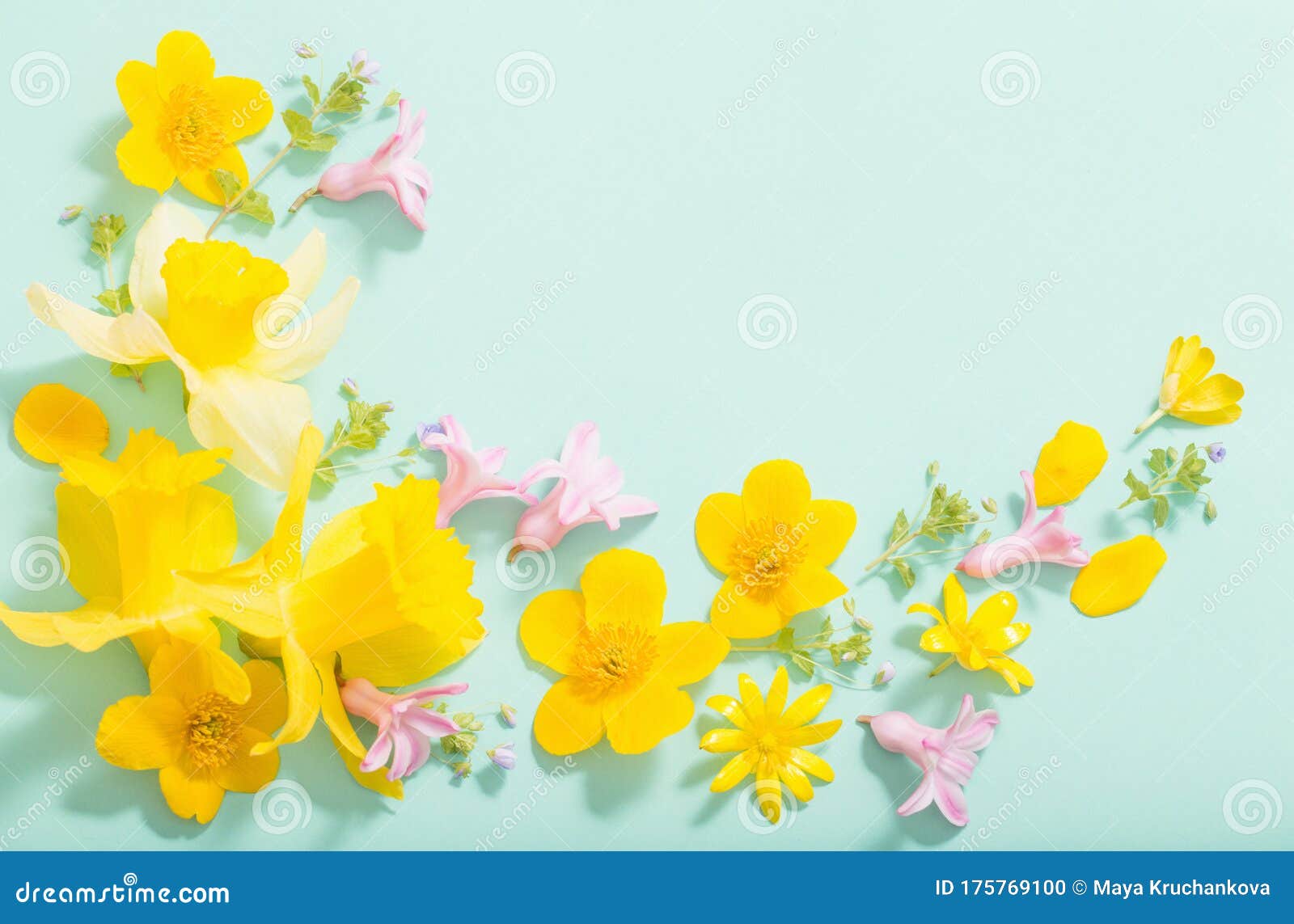 Spring Flowers on Green Background Stock Photo - Image of anemone ...