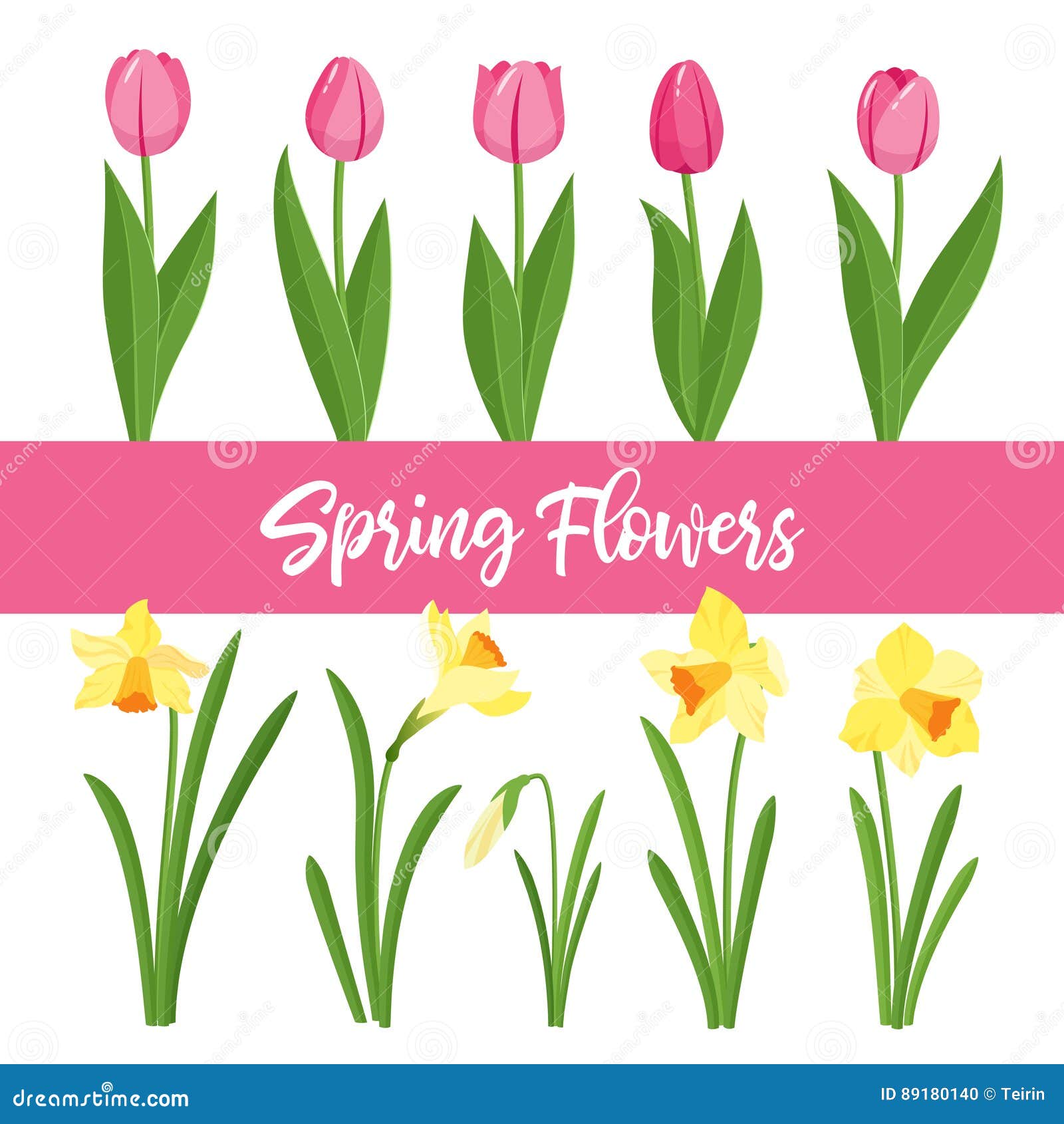 Animated Flowers Growing