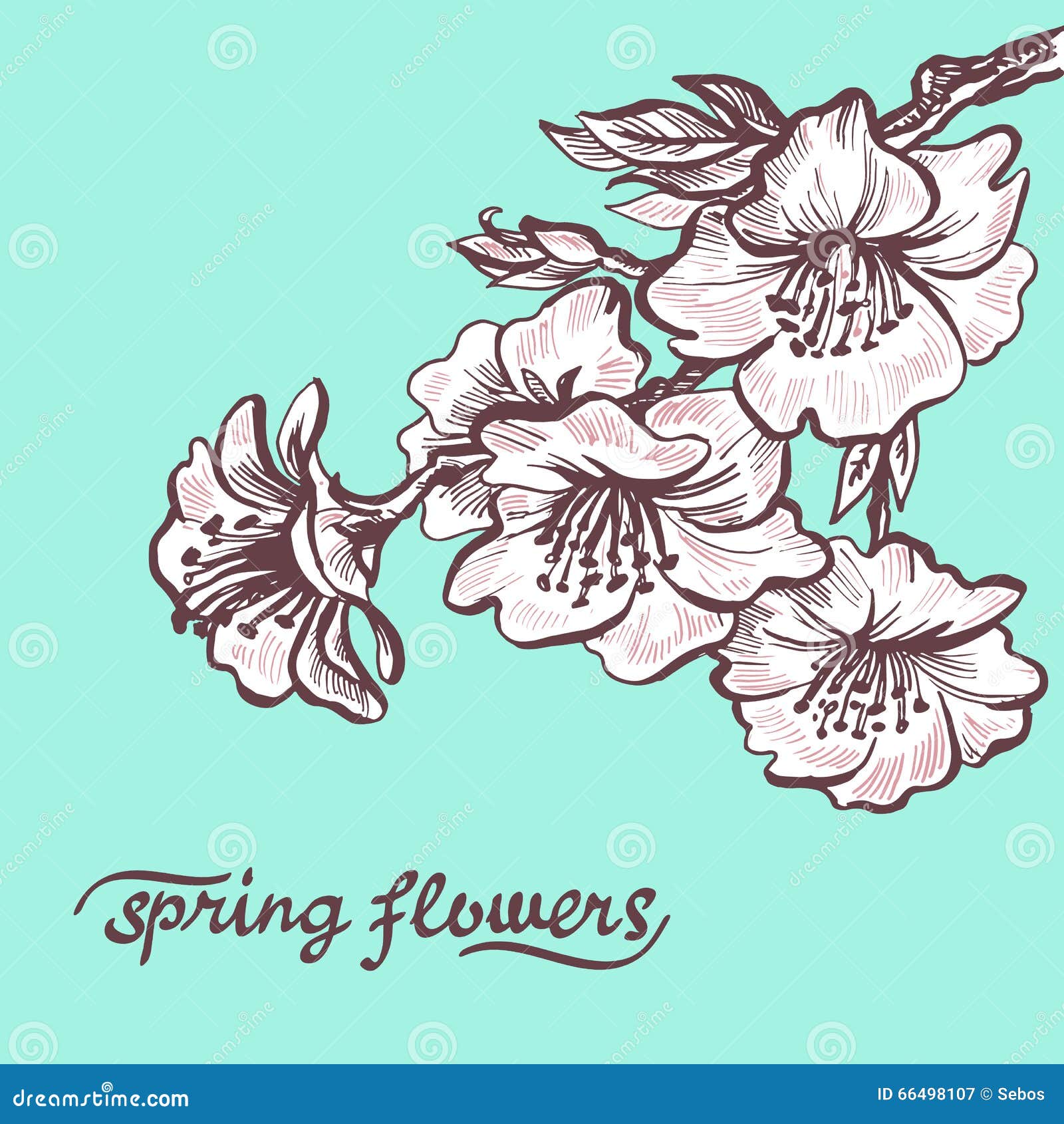 Spring Flowers. Hand Draw Doodle Vector Illustration Stock Vector ...