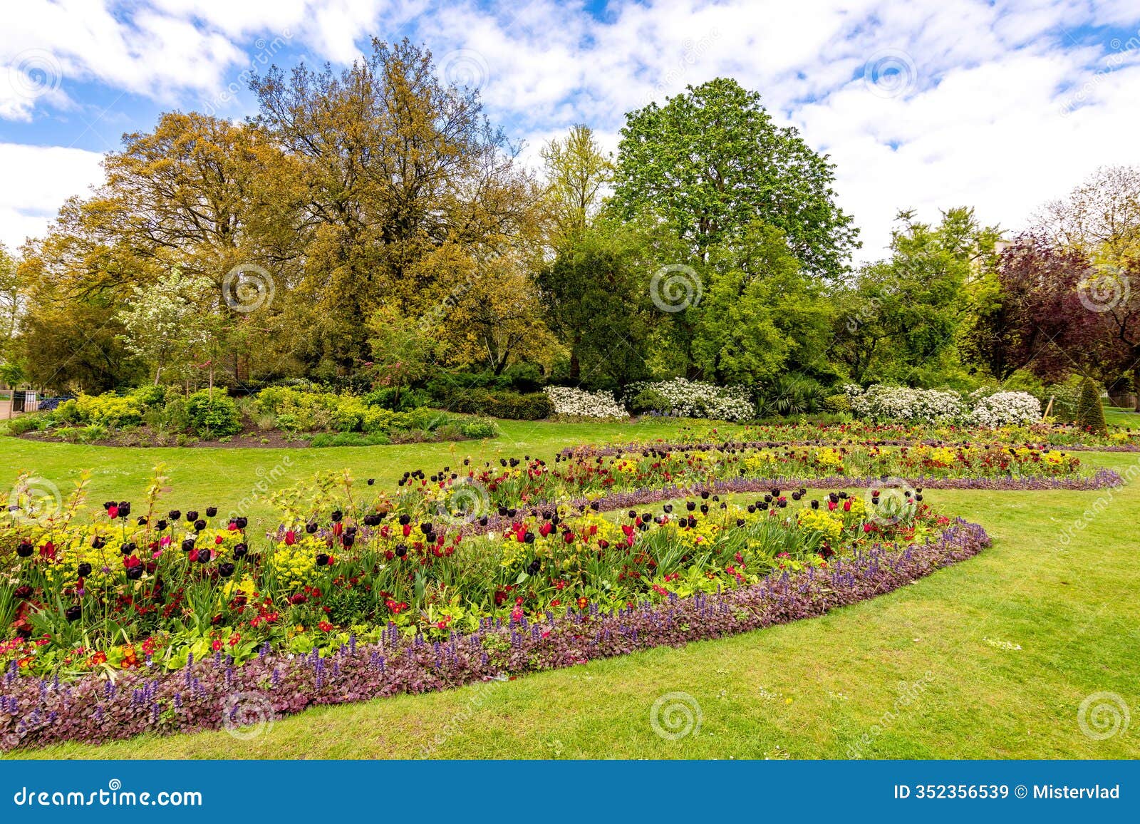 Spring Flowers in Hyde Park, London, UK Stock Illustration ...