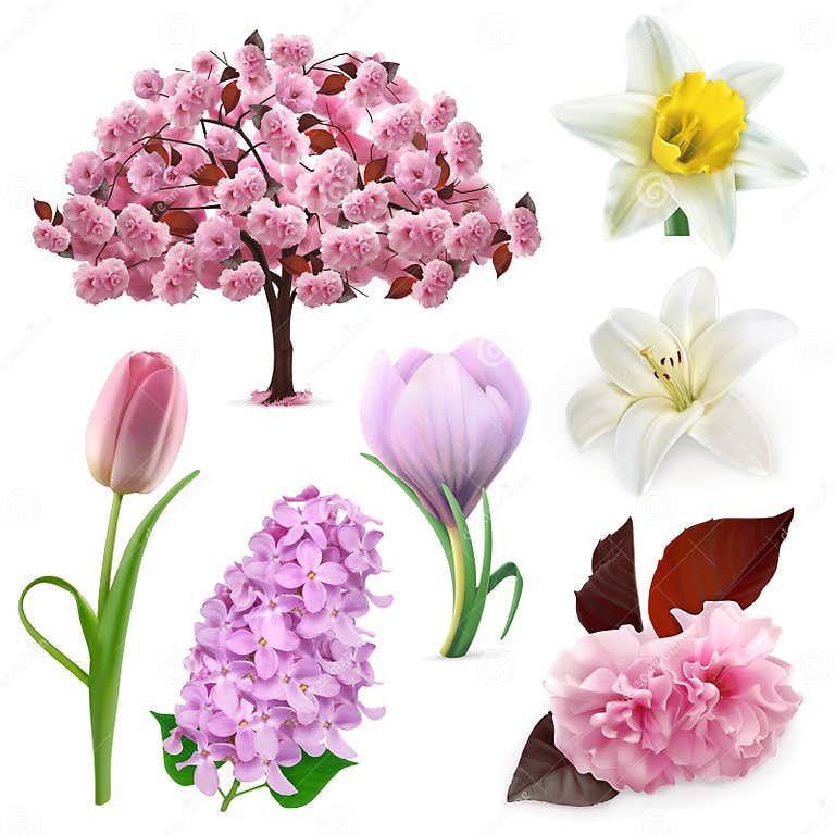 Spring flowers icons stock vector. Illustration of blossom - 65678601