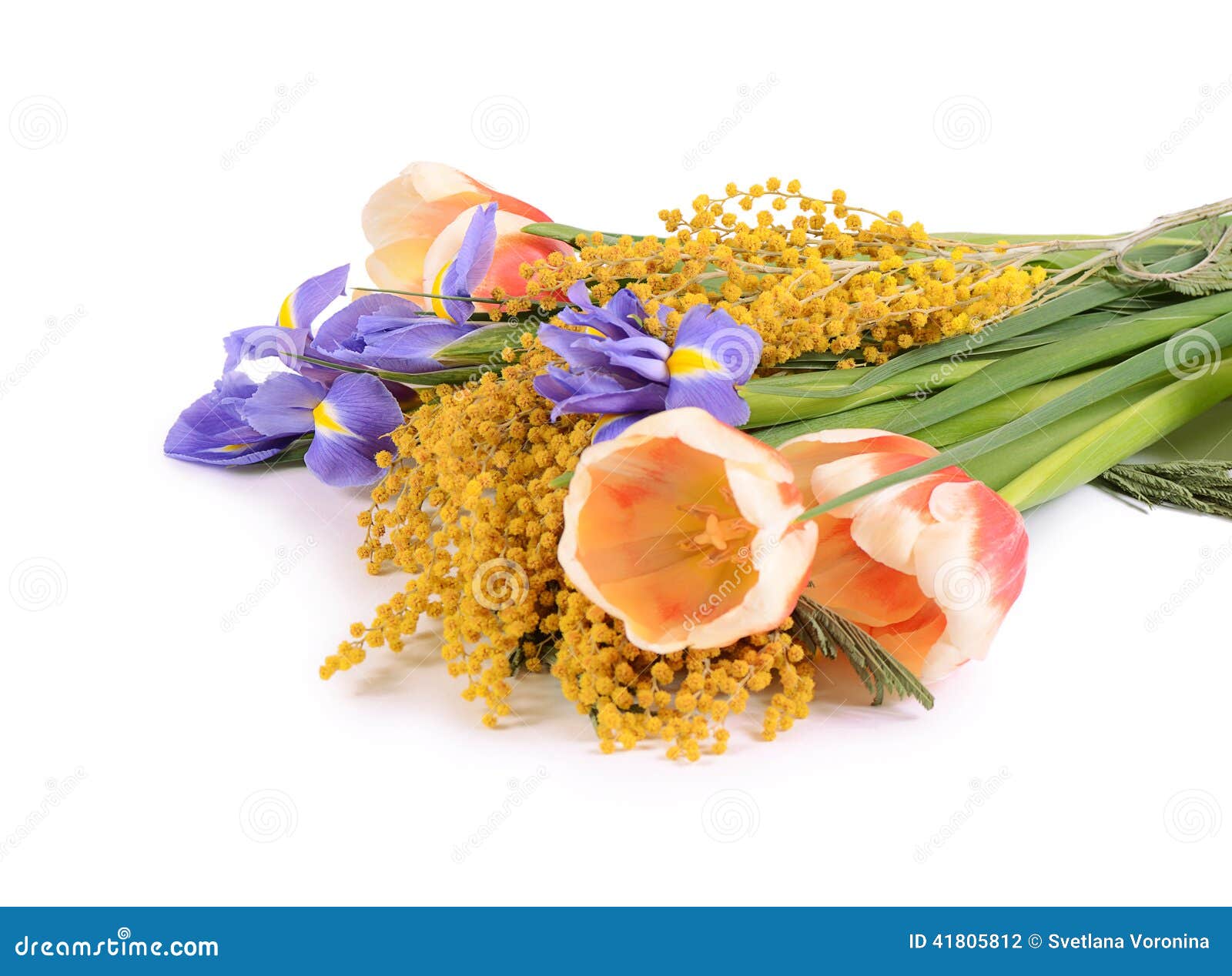 Spring Flowers Isolated on White Background Stock Photo - Image of ...