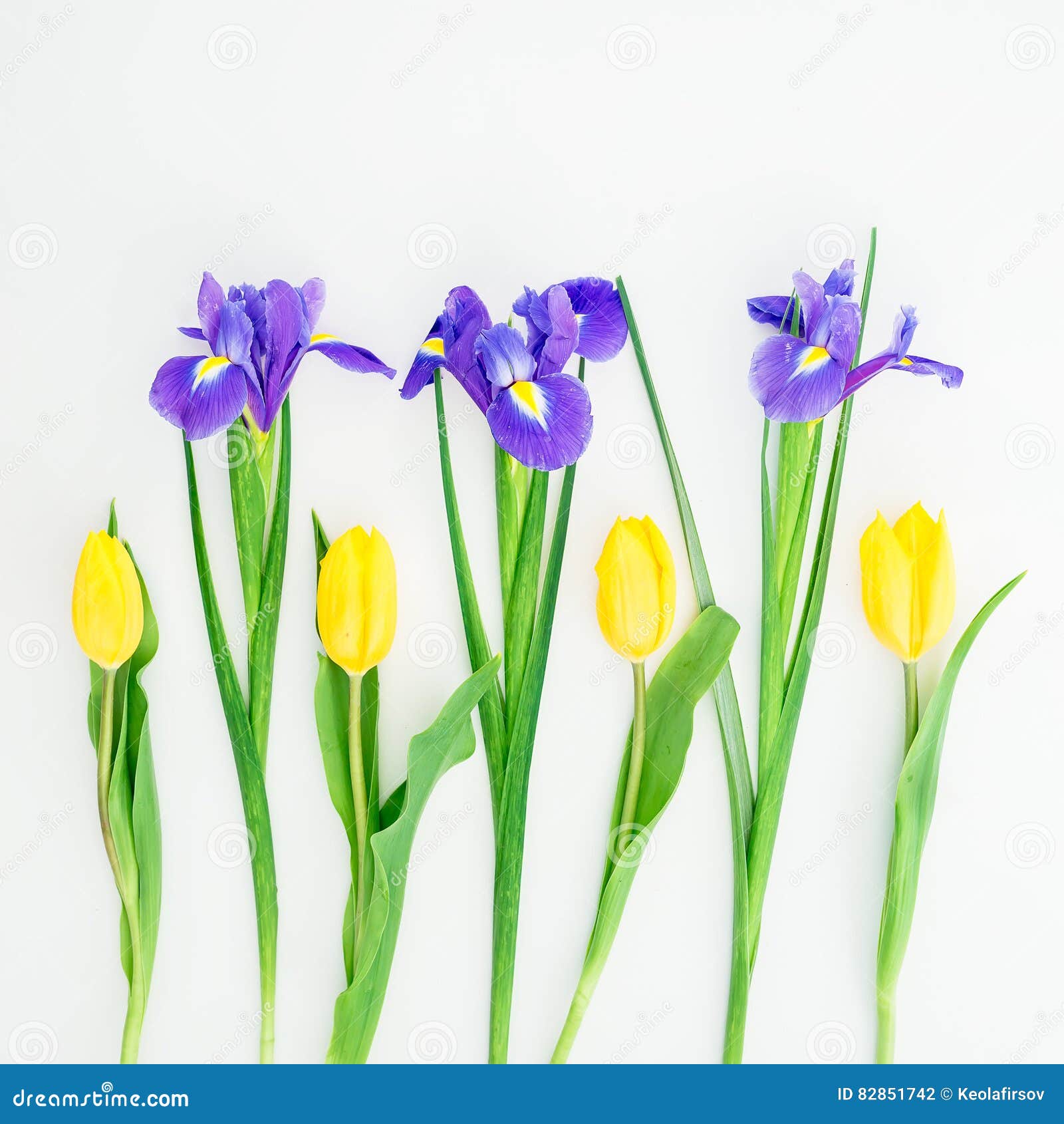 Spring Flowers Isolated on White Background. Flat Lay. Top View Stock ...