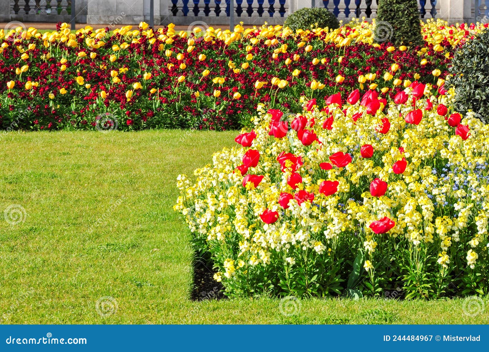 Spring Flowers in London, United Kingdom Stock Image - Image of british ...