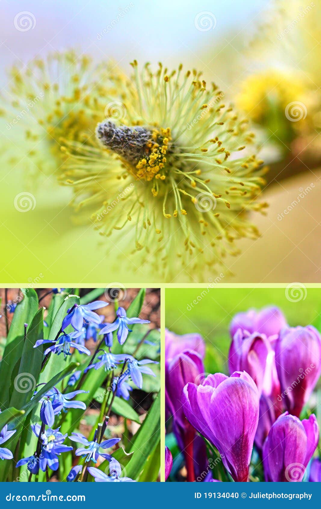 Spring Flowers Montage, Vertical Stock Photo - Image of montage, blur ...