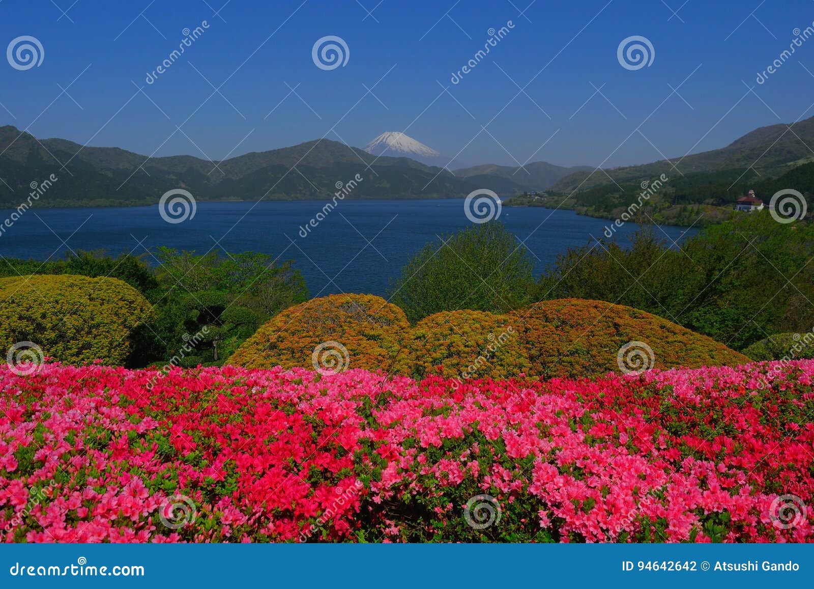 Spring Flowers and Mt. Fuji from Hakone Stock Photo - Image of pink ...