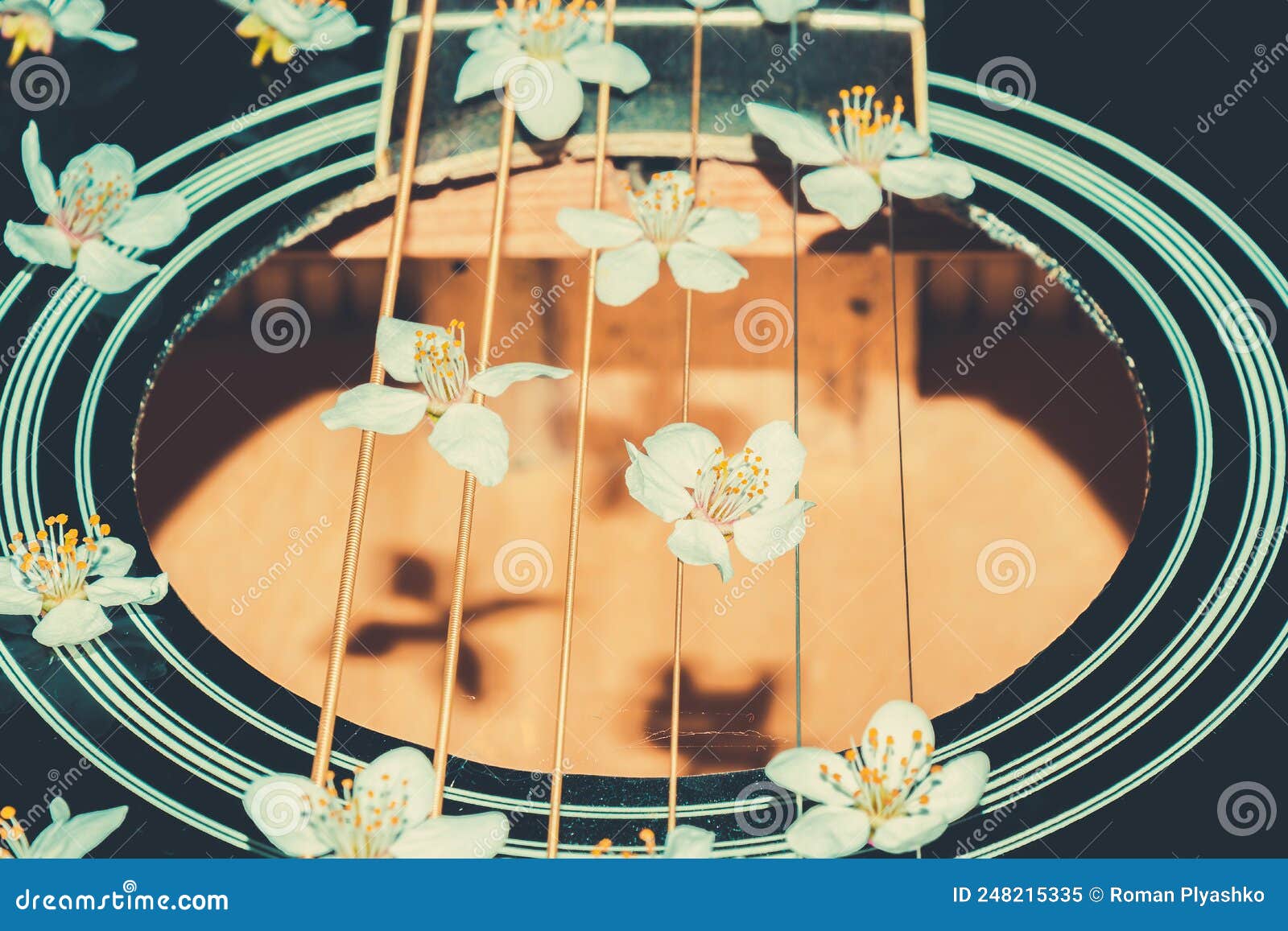 Spring Flowers on a Musical Instrument. Musical String Instrumen Stock ...