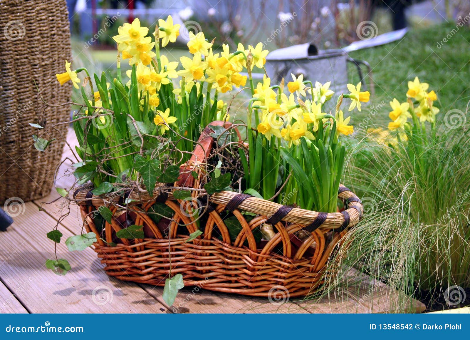Spring Flowers Time Nature
