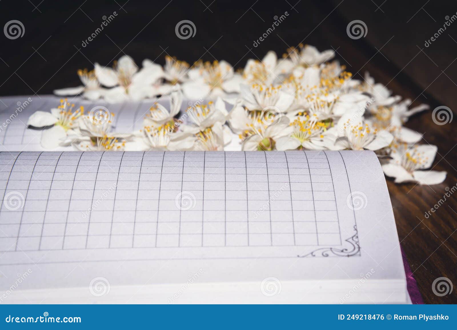 Spring Flowers on a Notebook. Writing Notebook in Flowers Stock Photo ...