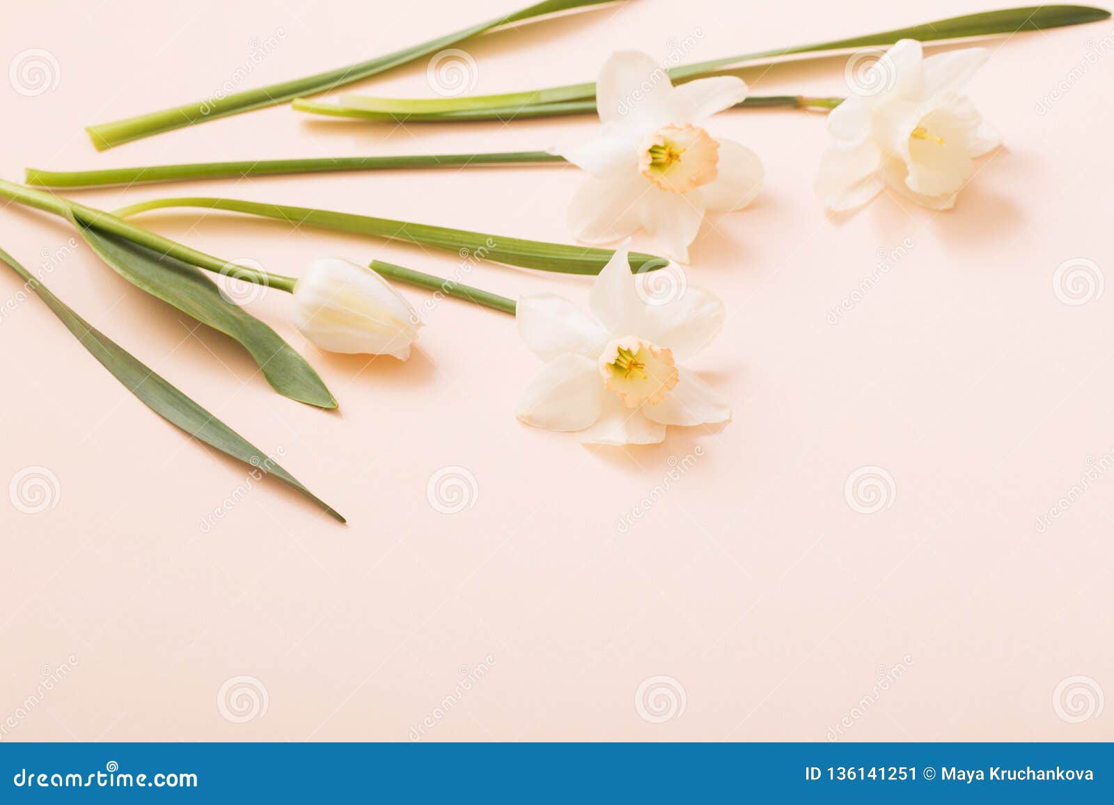 Spring Flowers on Paper Background Stock Image - Image of card, flat ...