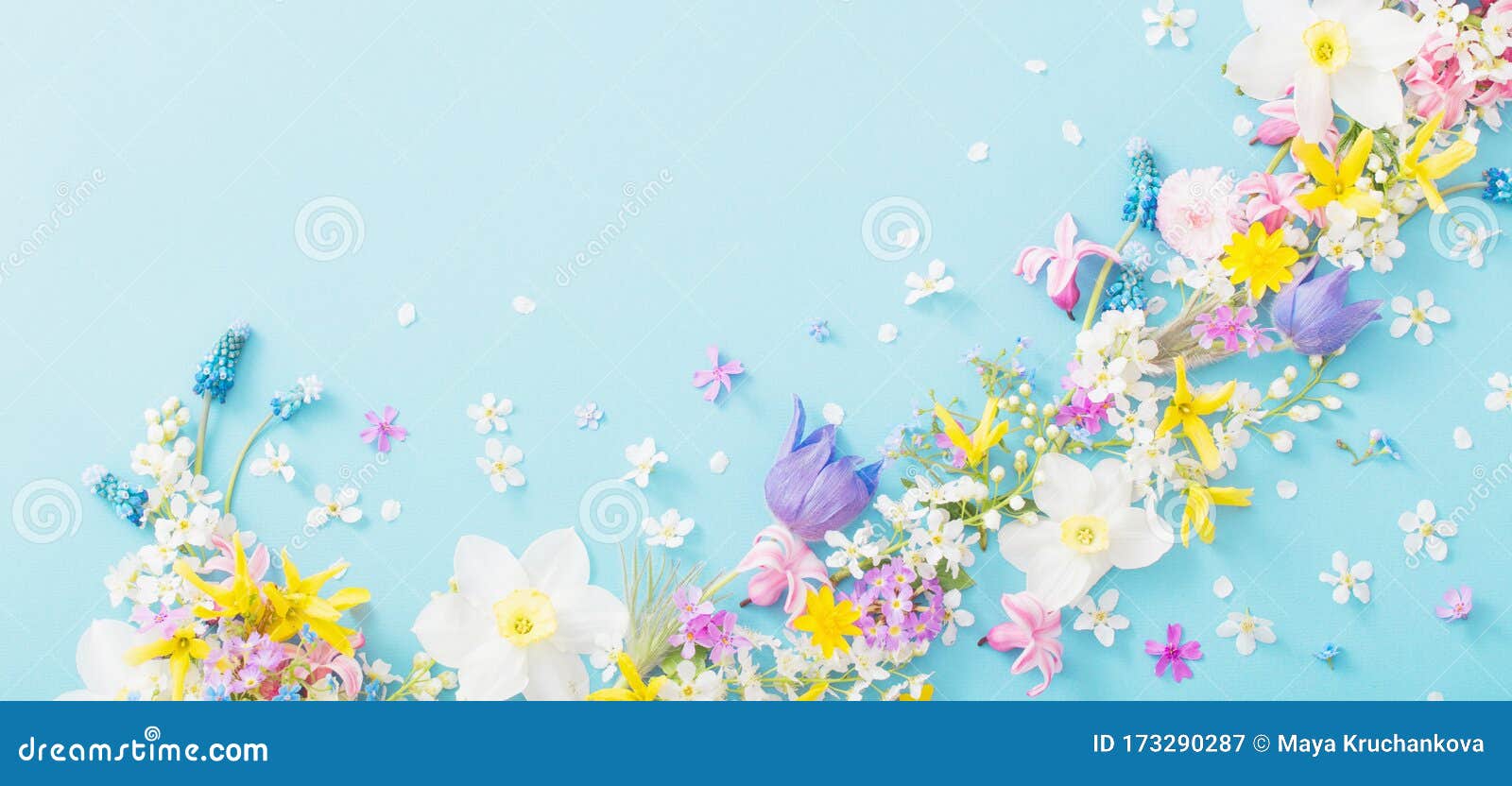 Spring Flowers on Paper Background Stock Image - Image of background ...