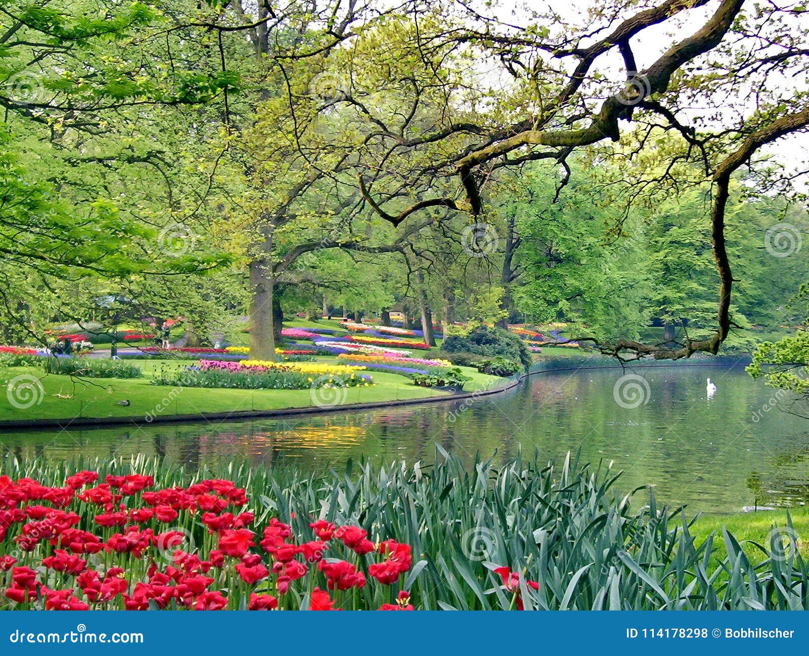 Spring Flowers in a Park stock photo. Image of landscape - 114178298