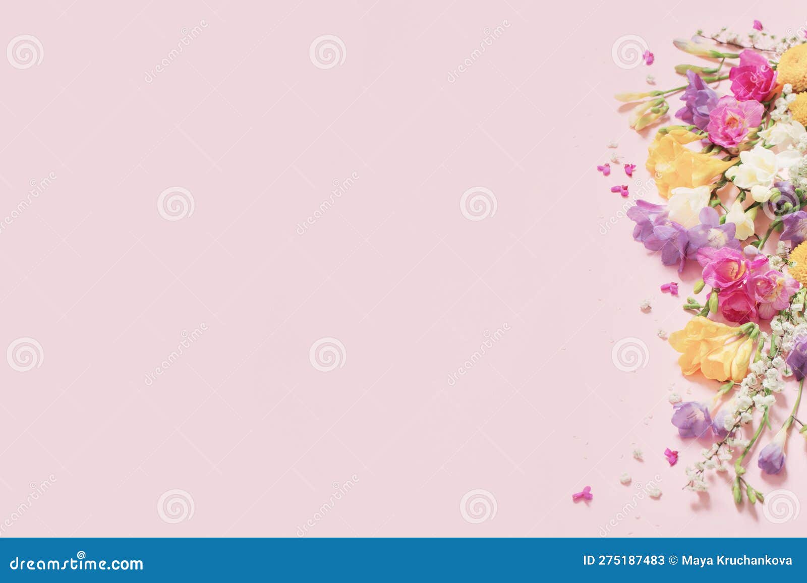 Spring Flowers on Pastel Pink Background Stock Image - Image of ...